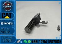 China Cat 3116 injector 127-8216 127-8222 127-8218 for caterpillar engine 3116 injectors for sale