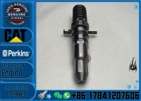 China Common Rail Diesel Engine Parts Fuel Injector 7E-9983 7E-3384 Nozzle Fuel System Cat 3512 3508 3516 Injector For Caterpi for sale