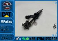 China C4.4 engine injector 571-0940 295700-1200 418-3229 295050-1810 370-7287 295050-0421 Diesel common rail injector for sale