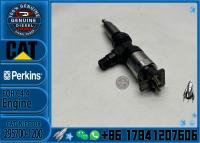 China Diesel Engine Injector c4.4 Fuel Injector 295700-1200 295050-0331 370-7282 295050-0401 FOR C-AT for sale