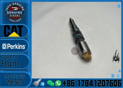 China 20R-5077 460-8213 common rail fuel injector 20R5077 4608213 for CAT C9.3 engine C9 for sale