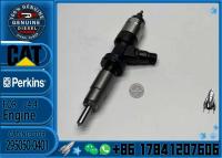 China Diesel Fuel Injector 295050-0401 Common Rail Fuel Injection Nozzle 3707282 370-7282 for CAT C4.4 for sale