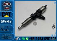 China Diesel Fuel Injector 295050-0401 Common Rail Fuel Injection Nozzle 3707282 370-7282 for CAT C4.4 for sale
