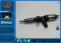 China Diesel Fuel Injector 295050-0401 Common Rail Fuel Injection Nozzle 3707282 370-7282 for CAT C4.4 for sale