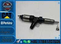 China High Performance Fuel Injector 295050-1810 Common Rail Injector 4183229 for CAT C4.4 for sale