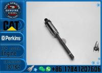 China 130-1804 Fuel Injector CAT 3406 3412 diesel Engine Parts Pencil Nozzle Injector 1301804 0R8787 7W7033 for sale