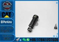 China diesel Engine element 1W6541 Fuel Pump Plunger 1W6541 Injector Pump element 1W6541 for CAT EXTRACTOR for sale