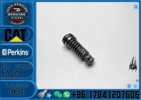 China diesel Engine element 1W6541 Fuel Pump Plunger 1W6541 Injector Pump element 1W6541 for CAT EXTRACTOR for sale