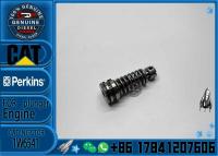 China diesel Engine element 1W6541 Fuel Pump Plunger 1W6541 Injector Pump element 1W6541 for CAT EXTRACTOR for sale