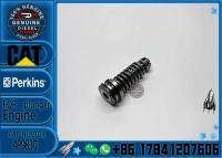 China Diesel Fuel Injection Pump Plunger 1w6541 4p9830 9h5797 6n7527 Plunger Barrel 7w5929 Element for Cat 3304 3306 Diesel Engine for sale