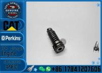 China Diesel Fuel Injection Pump Plunger 1w6541 4p9830 9h5797 6n7527 Plunger Barrel 7w5929 Element for Cat 3304 3306 Diesel Engine for sale