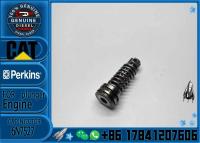 China Plunger 6N7527 for Caterpillar Engine 3208 3304 3306 Factory Price Plunger element 6N7527 diesel Engine Assemblies 6N-7527 for sale