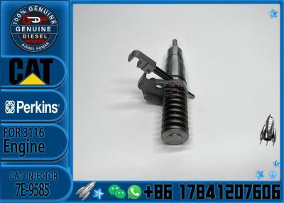 China Diesel Injector 3116 Injector 7E9585 7E-9585 for Caterpillar Cat 3116 Injector for sale