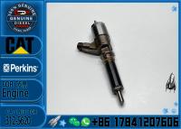 China Cat Engine Parts 10r-3262 C11 C13 Injector 2490713 249-0713 for Caterpillar C13 Fuel Injector for sale