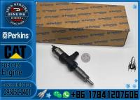 China For Caterpillar 320E Excavator fuel injector 370-7282 20R-2478 295050-0401 for sale