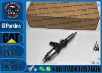 China Diesel Fuel Injectors 295050-0411 295050-0421 3707286 3707287 for sale