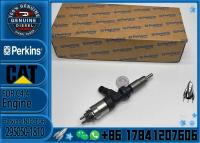 China High Quality New Common Rail Fuel Injector 4183229 418-3229 295050-1810 for CAT Engine C4.4 312F 315F 318F for sale