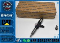 China High Quality New Common Rail Fuel Injector 4183229 418-3229 295050-1810 for CAT Engine C4.4 312F 315F 318F for sale