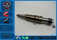 China 2029622 Genuine Diesel Common Rail Fuel Injector 1948565 2030519 2031836 2031835 2086663 for sale