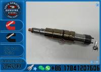 China Hot-selling new Diesel common rail Fuel Injector 2894920PX 2894920 for sale