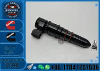 China High Performance Fuel Injectors K19 KTA19 K38 KTA38 K50 KTA50 Common Rail Injector 3079946 for sale