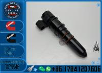 China High Performance Fuel Injectors K19 KTA19 K38 KTA38 K50 KTA50 Common Rail Injector 3079946 for sale