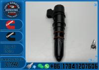 China High Performance Fuel Injectors K19 KTA19 K38 KTA38 K50 KTA50 Common Rail Injector 3079946 for sale