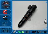 China High Performance Fuel Injectors K19 KTA19 K38 KTA38 K50 KTA50 Common Rail Injector 3079946 for sale