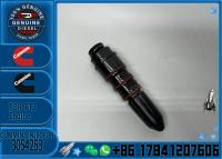 China For  Diesel Engine NH250 Fuel Injector 3054218 3054253 for sale