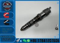 China genuine QSK19 fuel injector nozzle 4928349 for construction machinery engines for sale