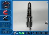 China genuine QSK19 fuel injector nozzle 4928349 for construction machinery engines for sale