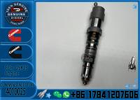 China diesel fuel Injector 4326780 4010025 for Engine QSK45 QSK60 original USA for sale