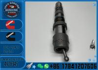 China Excavator parts QSK19 common rail diesel fuel injector assembly 4928345 for sale