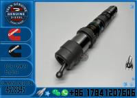 China Excavator parts QSK19 common rail diesel fuel injector assembly 4928345 for sale