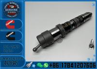 China Excavator parts QSK19 common rail diesel fuel injector assembly 4928345 for sale