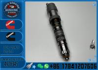 China Excavator parts QSK19 common rail diesel fuel injector assembly 4928345 for sale