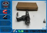 China N14 Series Engine Common Rail Fuel Injector 4307516 3411691 3087560 3411765 for for sale