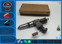 China N14 Series Engine Common Rail Fuel Injector 4307516 3411691 3087560 3411765 for for sale