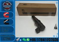 China 3079946 High Performance Fuel Injectors  Common Rail Injector 3406604 3071497 3079946 for sale