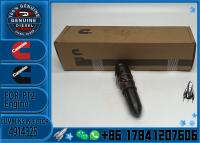 China NH/NT855 NT495 NT743 NTA855 Diesel Engine Parts 4914325 Fuel Injector for for sale