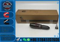 China NH/NT855 NT495 NT743 NTA855 Diesel Engine Parts 4914325 Fuel Injector for for sale