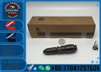 China NH/NT855 NT495 NT743 NTA855 Diesel Engine Parts 4914325 Fuel Injector for for sale