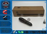China NH/NT855 NT495 NT743 NTA855 Diesel Engine Parts 4914325 Fuel Injector for for sale