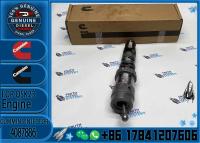 China 4928345 4087886 4001830 3867762 Diesel Fuel Injector For QSK19 for sale