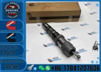 China 4928345 4087886 4001830 3867762 Diesel Fuel Injector For QSK19 for sale