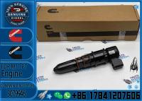 China High Performance Fuel Injectors K19 KTA19 K38 KTA38 K50 KTA50 Common Rail Injector 3079946 for sale