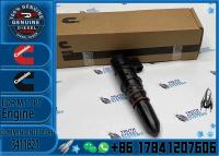 China 3411821 OE quality Brand New Diesel Common Rail fuel Injector Assembly 3411821 for C-ummins M11 Engine for sale