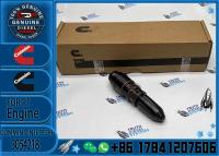 China Motor spare part Diesel Engine parts common rail fuel Injector 3054218 for s NT855 Engine for sale