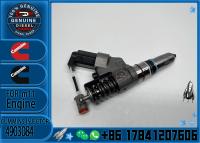 China Diesel Engine Fuel Injector 4903084 4061851 4902921 3411752 For  M11 ISM11 Engine for sale