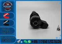 China New Fuel Injector 3047973 3030445 3016676 3022197 209986X 3071497 4914537 3054218 for  14.0L NH855 NT495 NT743 NT for sale